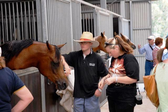 Syrah Arabians Open Day December 2007